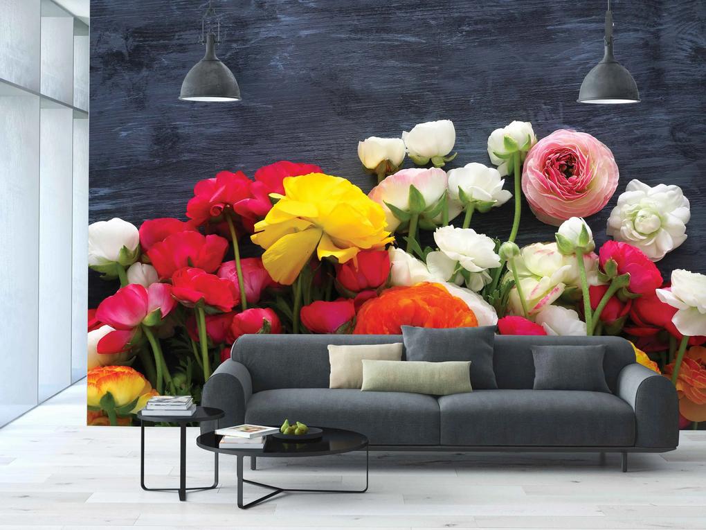 Malvis ® Tapeta Řezané květiny Vel. (šířka x výška): 432 x 290 cm
