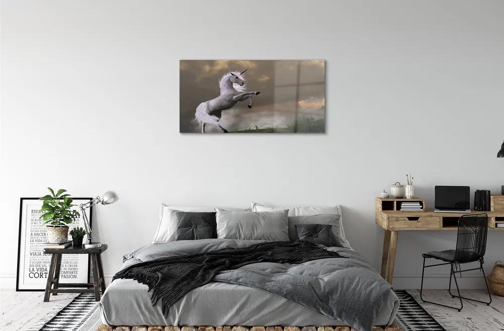 Obraz na skle Unicorn top 120x60 cm