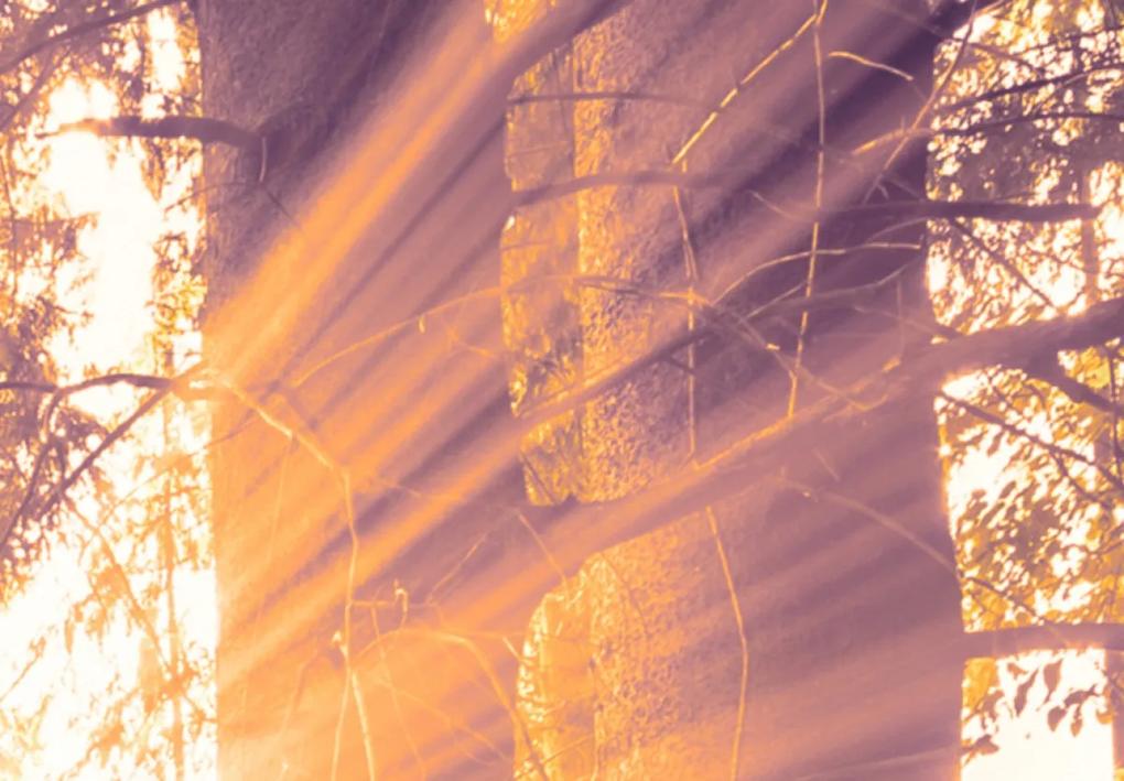 Atypický obraz lesní svět + háčky a hřebíčky ZDARMA Velikost (šířka x výška): 100x50 cm