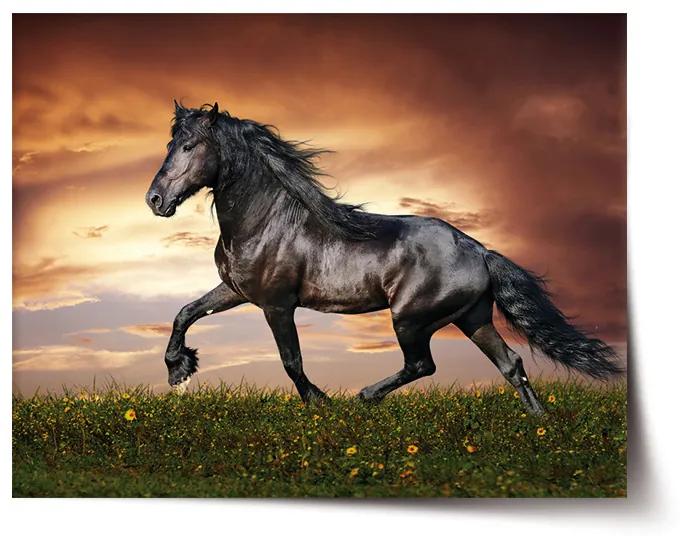 Plakát SABLIO - Friský kůň 60x40 cm
