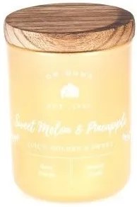 DW Home Vonná svíčka ve skle Sweet Melon &amp; Pineapple 3,8oz