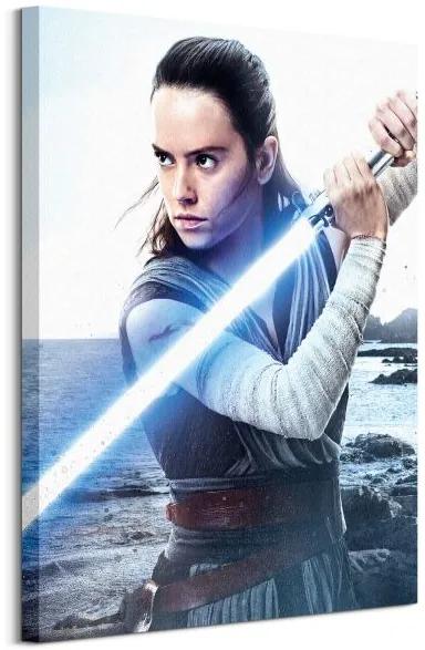 Obraz na plátně Star Wars The Last Jedi (Rey Engage) 60x80cm WDC100179