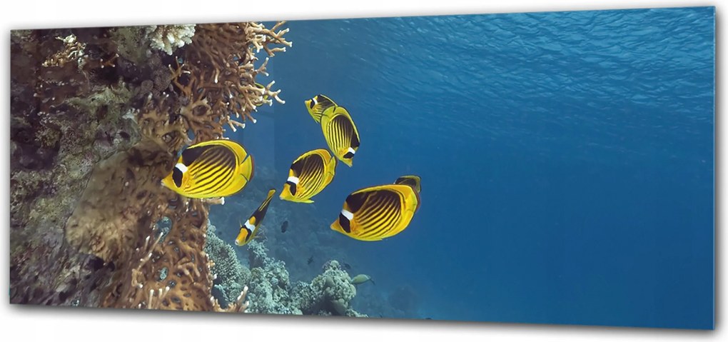 Skleněný obraz do obývacího pokoje 100x40 s potiskem voda