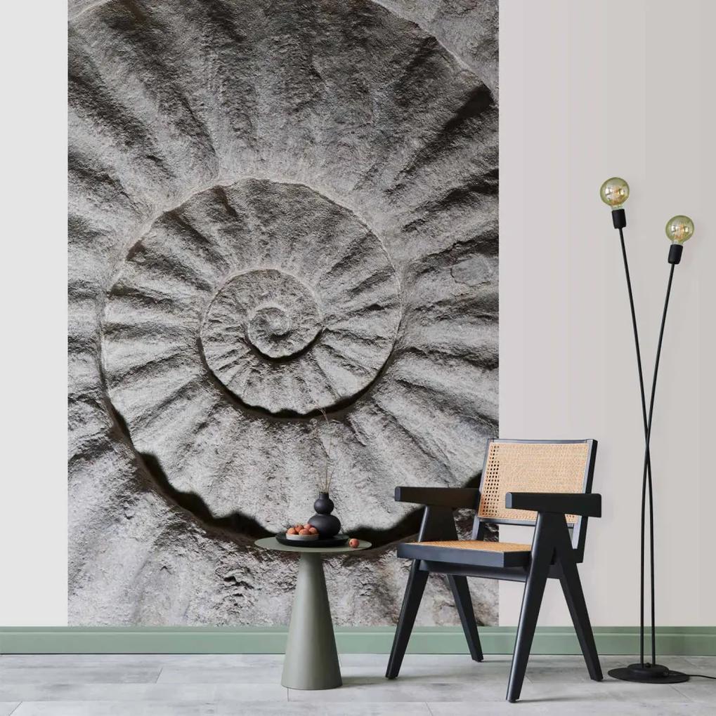 Fototapeta Abstrakce mušle - béžový motiv moře s detailním pohledem na fosílie