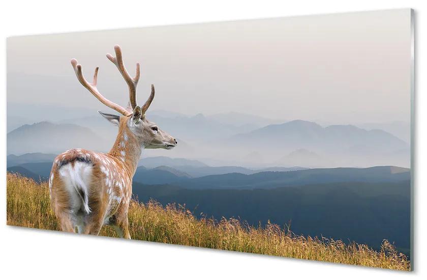 akrylový obraz jelen hory 125x50 cm