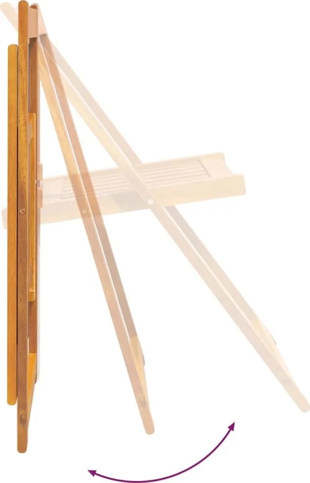 vidaXL Skládací zahradní židle 4 ks masivní akáciové dřevo [319189]
