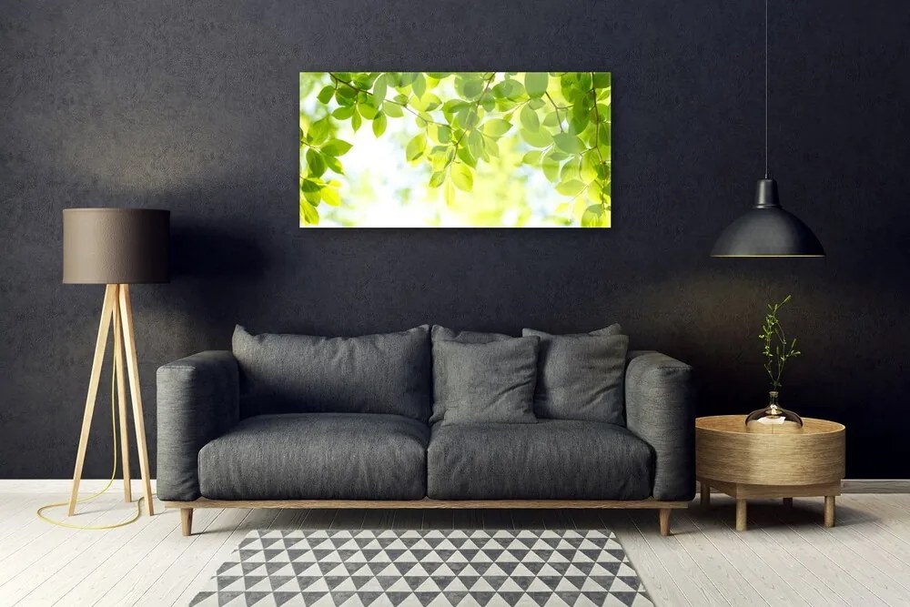 Obraz na skle Listy Příroda Rostlina 100x50 cm