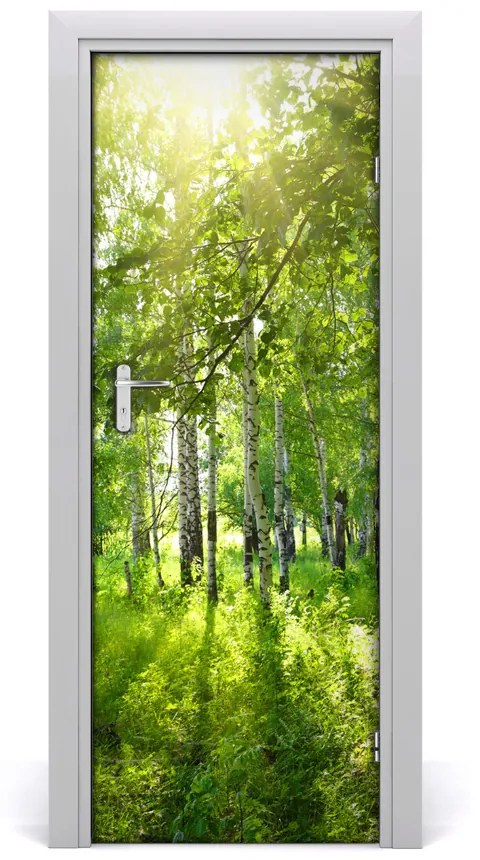 Fototapeta na dveře břízový les 75x205 cm