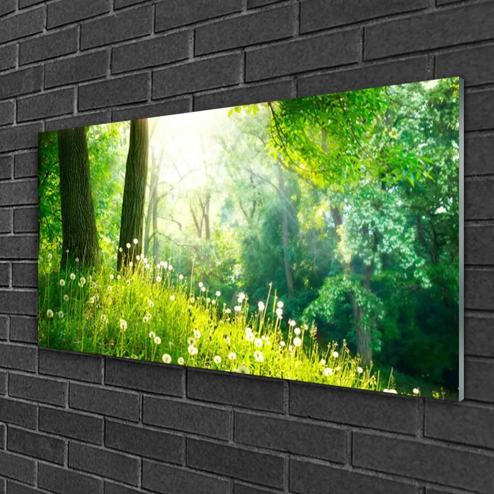 Obraz na skle Louka Příroda Rostlina 120x60 cm