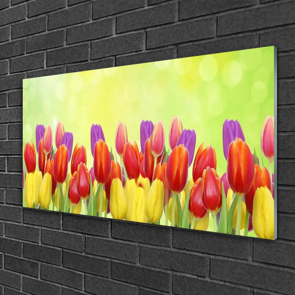 Obraz na skle Tulipány Květiny Rostlina 100x50 cm