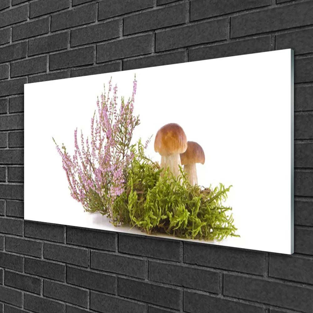 Obraz na skle Houby Rostlina Příroda 120x60 cm
