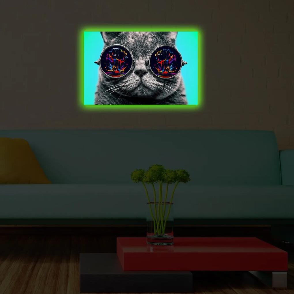Obraz s LED osvětlením KOČKA V BRÝLÍCH 61 45 x 70 cm