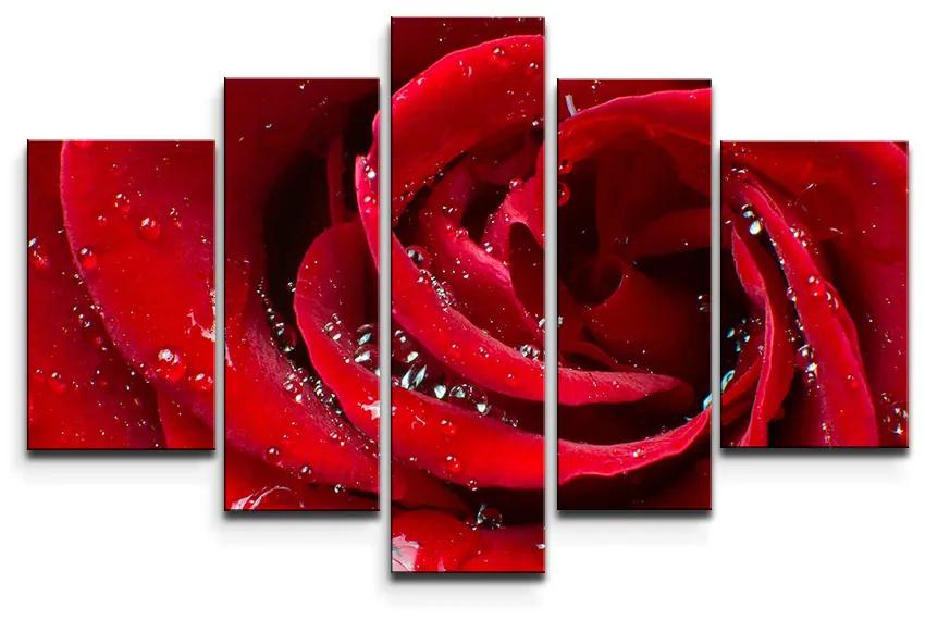 Sablio Obraz - 5-dílný Růže - 125x90 cm