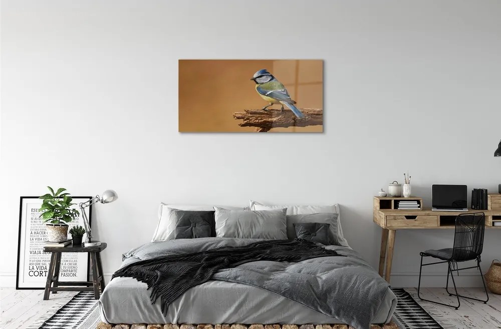 Obraz na skle Pták 125x50 cm