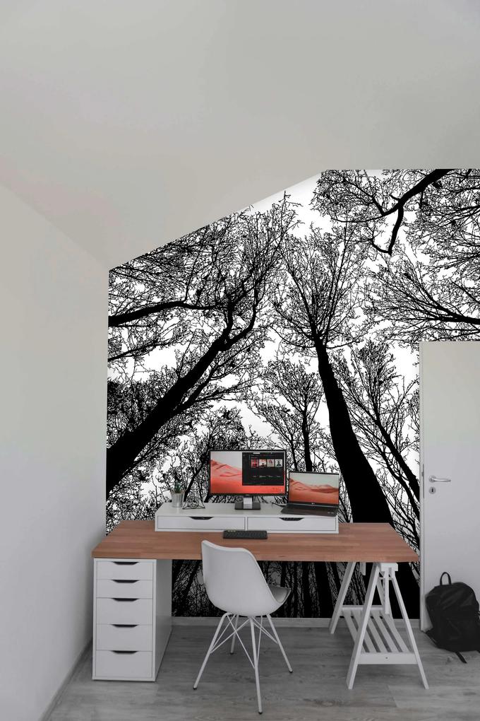 Malvis ® Tapeta černobílé koruny stromů Vel. (šířka x výška): 216 x 140 cm