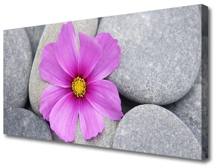 Obraz na plátně Květ Kameny Rostlina 125x50 cm