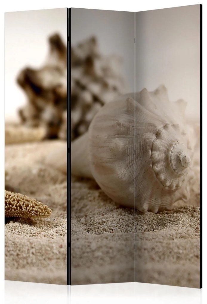 Paraván - Beach and shell [Room Dividers] 135x172