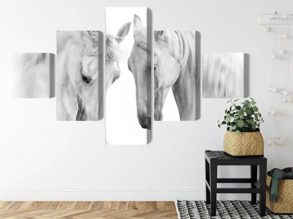 Vícedílný obraz Dva Koně Na Bílém Pozadí Nedostatek Nedostatek Přírodní plátno 150x90