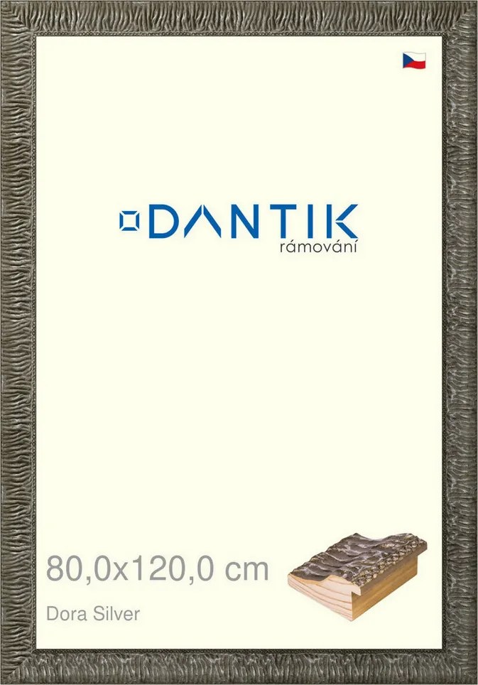 DANTIK rámeček 80x120 | Dora Silver (Plexi Čiré)