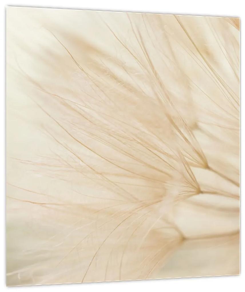 Obraz - Detaily květu (30x30 cm)