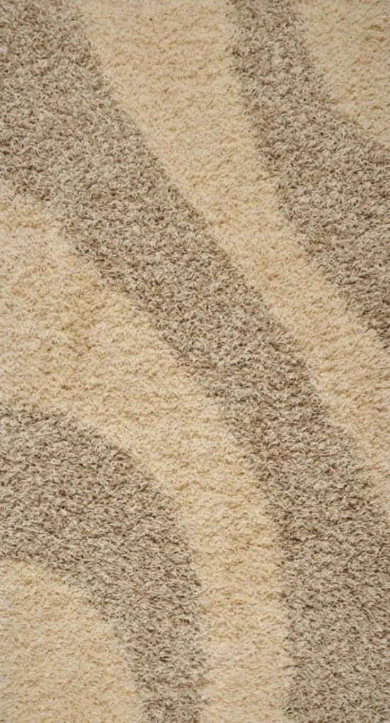 Kusový koberec SUPER SHAGGY 6569/65 80x150cm