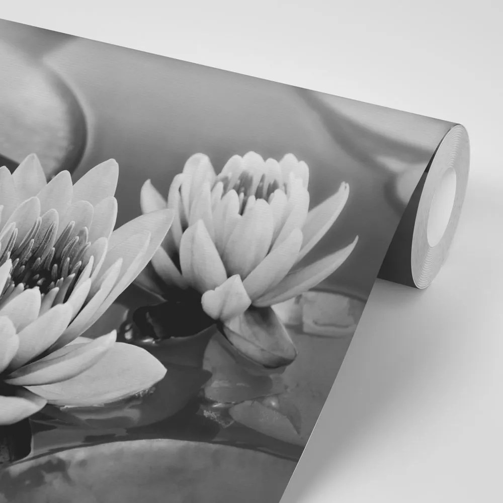 Samolepící fototapeta černobílý lotosový květ v jezeře