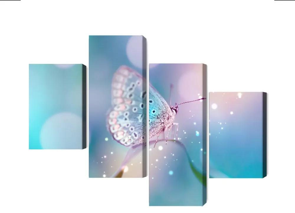 Vícedílný obraz Jemný Motýl Na Stéblo Trávy V Makro Měřítku Nedostatek Nedostatek Přírodní plátno 80x50