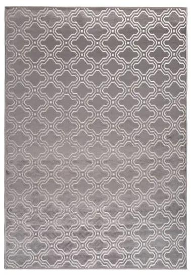 Šedý koberec White Label Feike, 160 x 230 cm