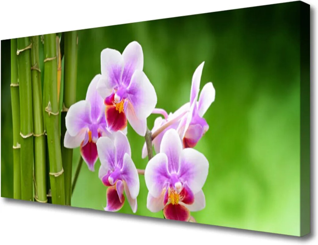 Obraz Canvas Bambus Orchidej Květiny Zen