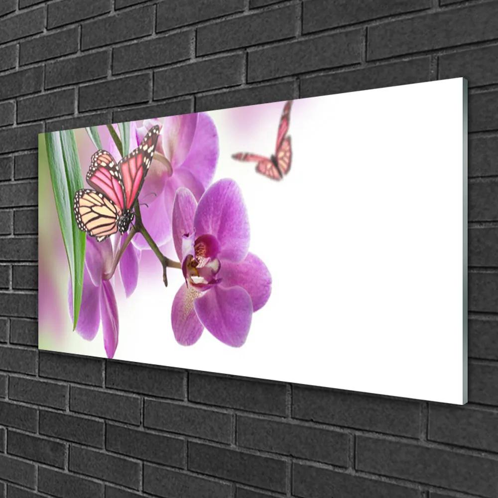 Obraz na skle Motýli Květiny Příroda 100x50 cm