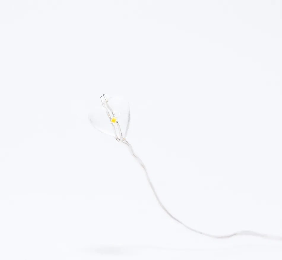 LED světýlka na baterie, srdíčka, 2,3 m, teple bílá, 20 diod, čirý kabel, IP20 interiér, 3 × AA