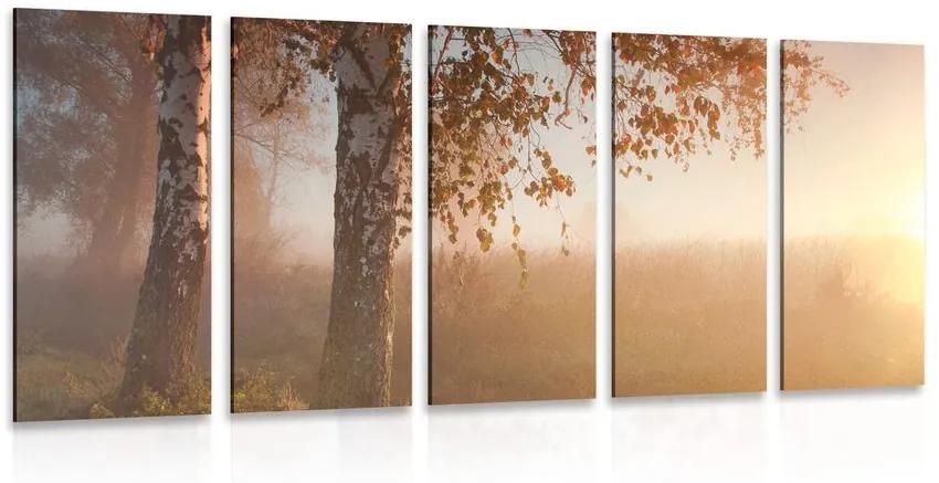 5-dílný obraz mlhavý podzimní les Varianta: 100x50