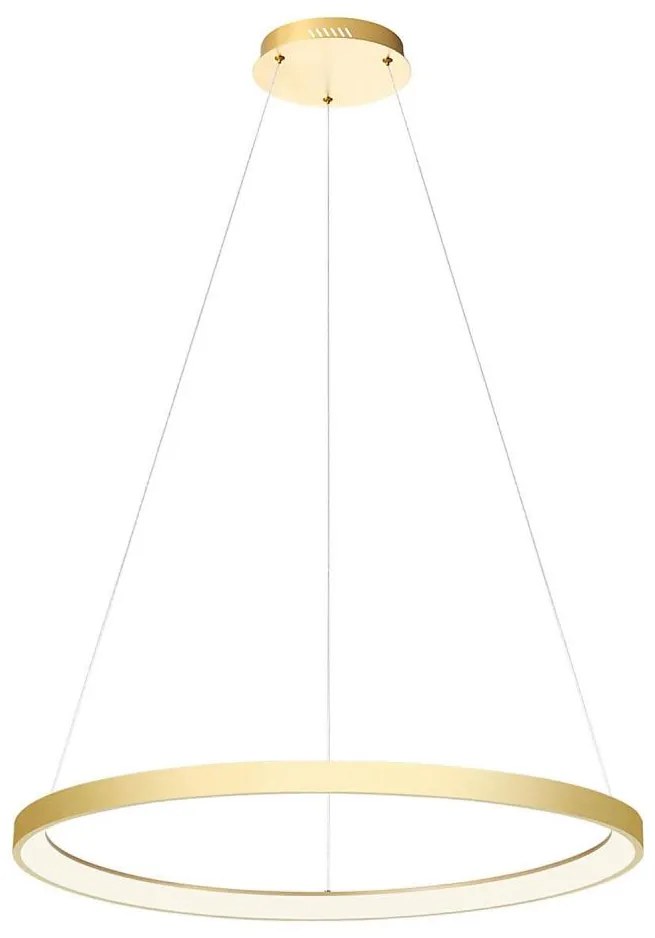 Redo 01-2676-LED Stmívatelný lustr na lanku ICONIC LED/60W/230Vpr. 78 cm zlatá