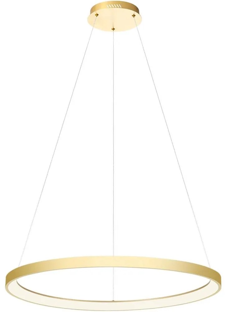 Redo Redo 01-2676-LED Stmívatelný lustr na lanku ICONIC LED/60W/230Vpr. 78 cm zlatá UN1389