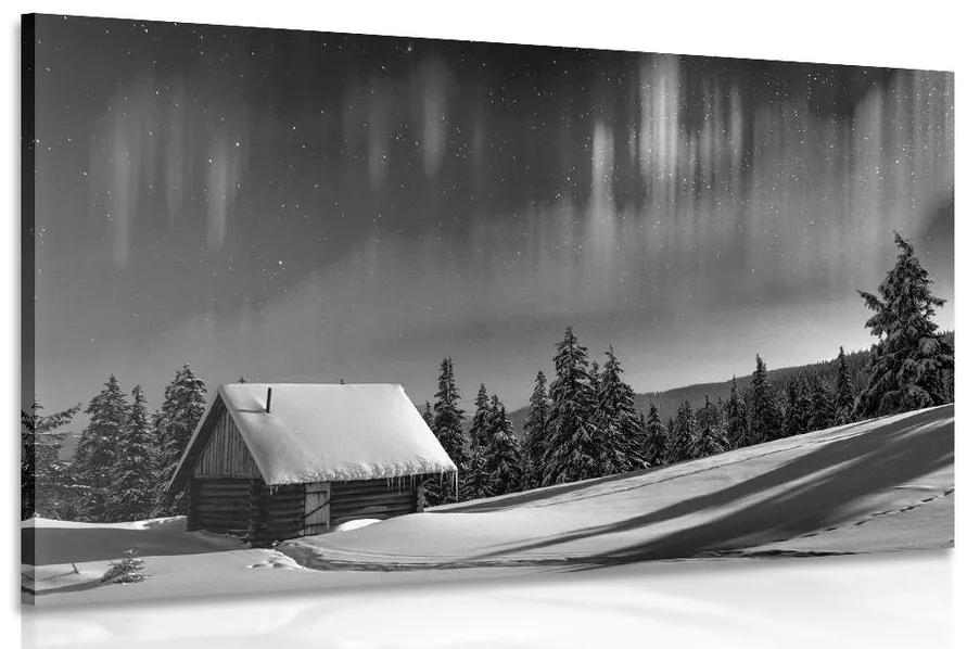 Obraz pohádková zimní krajina v černobílém provedení