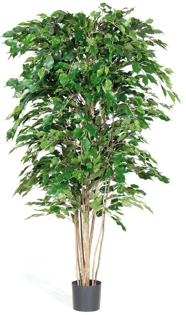 FICUS EXOTICA DELUXE - umělá rostlina, 180 cm