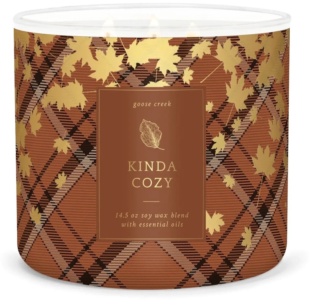 Goose Creek Candle svíčka Kinda Cozy, 411 g