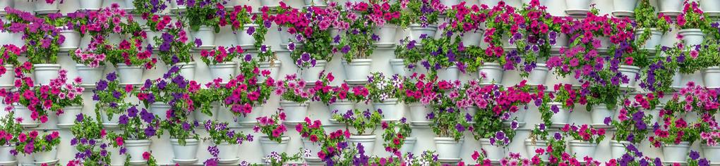 DIMEX | Fototapeta do kuchyně Květiny v truhlících KI-260-176 | 260 x 60 cm | fialová, růžová, bílá, zelená