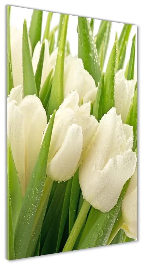 Wallmuralia Foto obraz fotografie na skle Bílé tulipány 70x140 cm