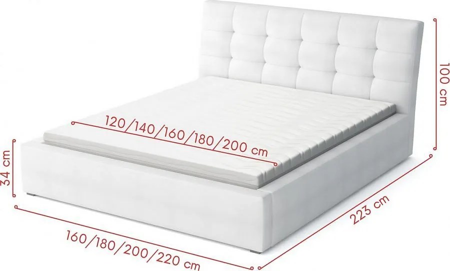 Casarredo - Komfort nábytek Čalouněná postel TEKLI 200x200, výběr ekokůže | potah: soft 11