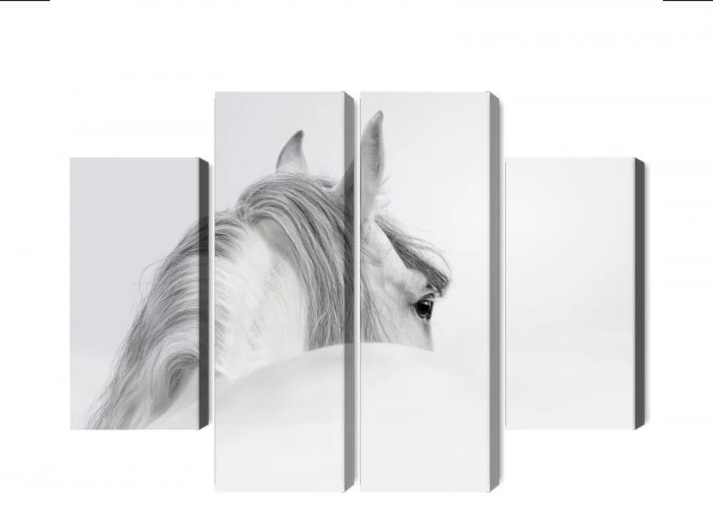 Vícedílný obraz Andaluský Kůň V Mlze Nedostatek Nedostatek Plátno Canvas 160x120