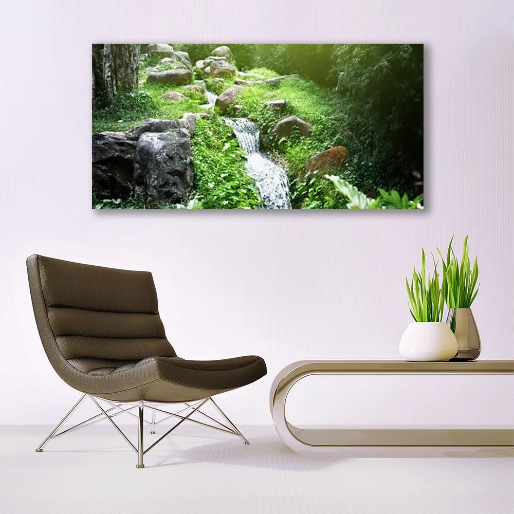 akrylový obraz Potom Trávy Příroda 120x60 cm