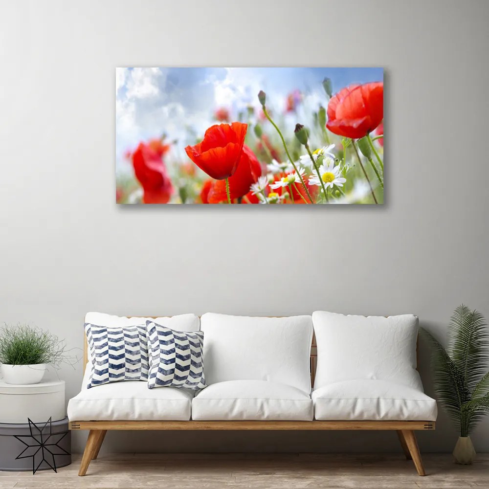 Obraz na plátně Máky Sedmikrásky Květiny 100x50 cm