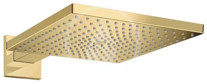 Hansgrohe - Hlavová sprcha E 300 s ramenem, 1 proud, leštěný vzhled zlata