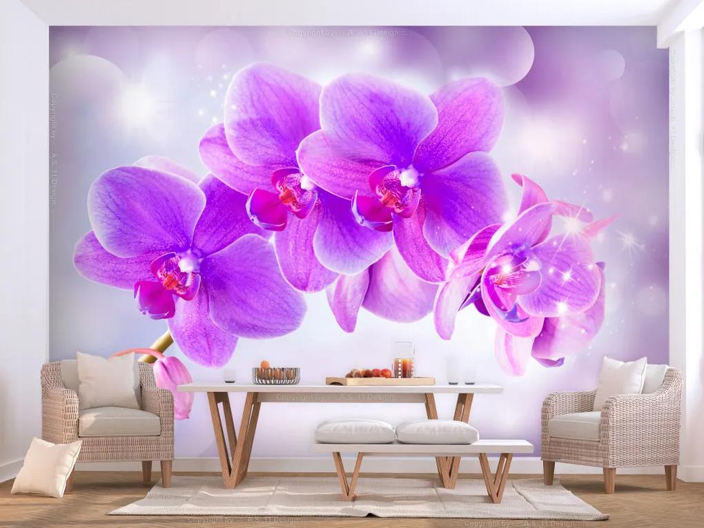 Fototapeta Fialové orchideje - květinový motiv na pozadí s efektem světla