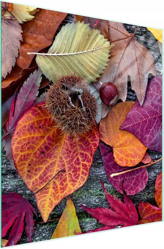 Skleněná Krájecí Deska 45x52 Listy Tvrzené Sklo 7v1