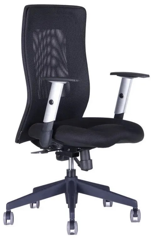 Office Pro Kancelářská židle Calypso Grand BP Barva opěráku: 1111 černá