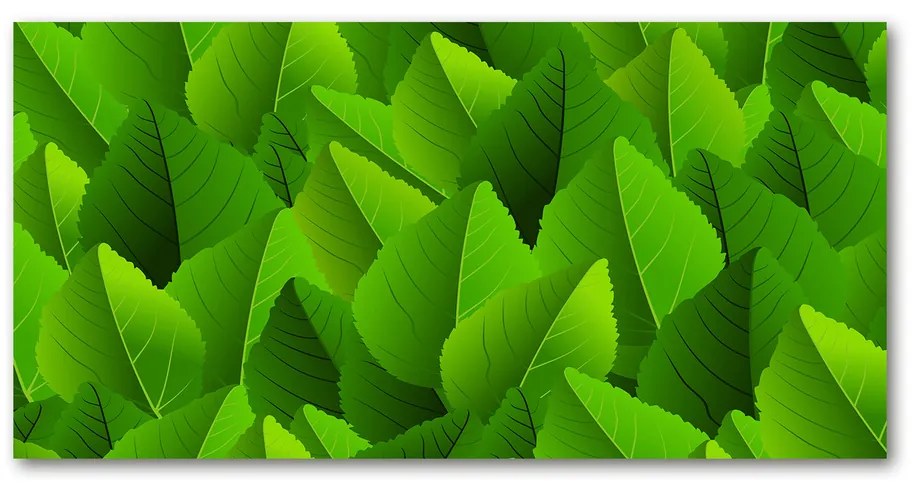Wallmuralia Foto obraz akrylové sklo Zelené listí 100x50 cm