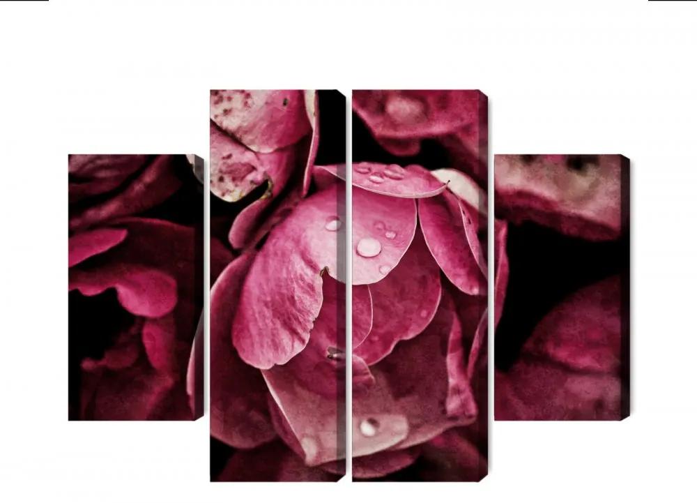 Vícedílný obraz Pivoňka Květiny Zblízka 3D Nedostatek Nedostatek Plátno Canvas 200x150