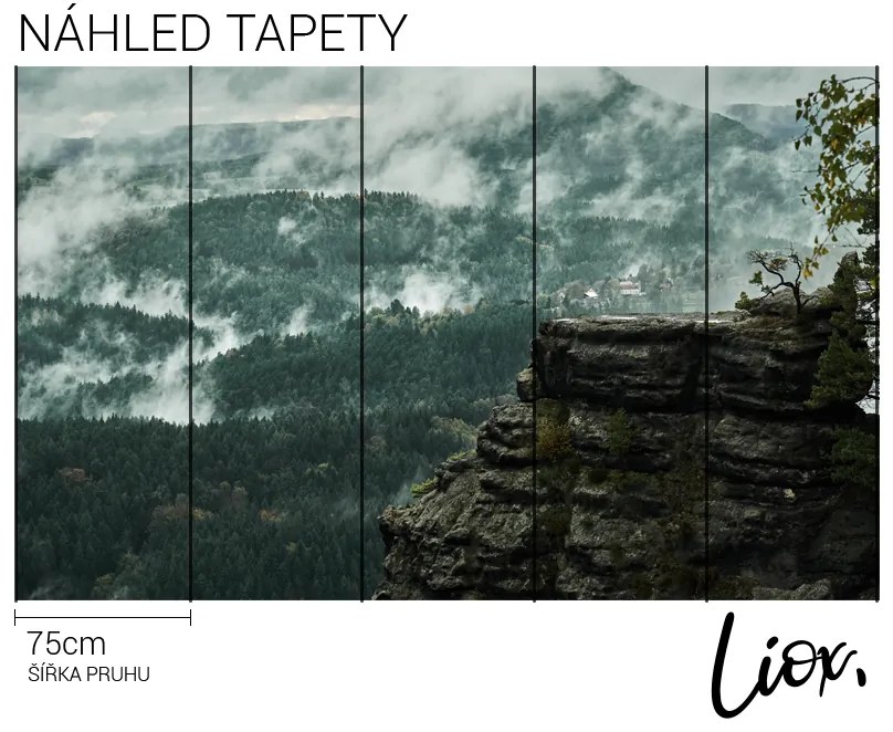 Tapeta výhled na zalesněnou krajinu v mlze